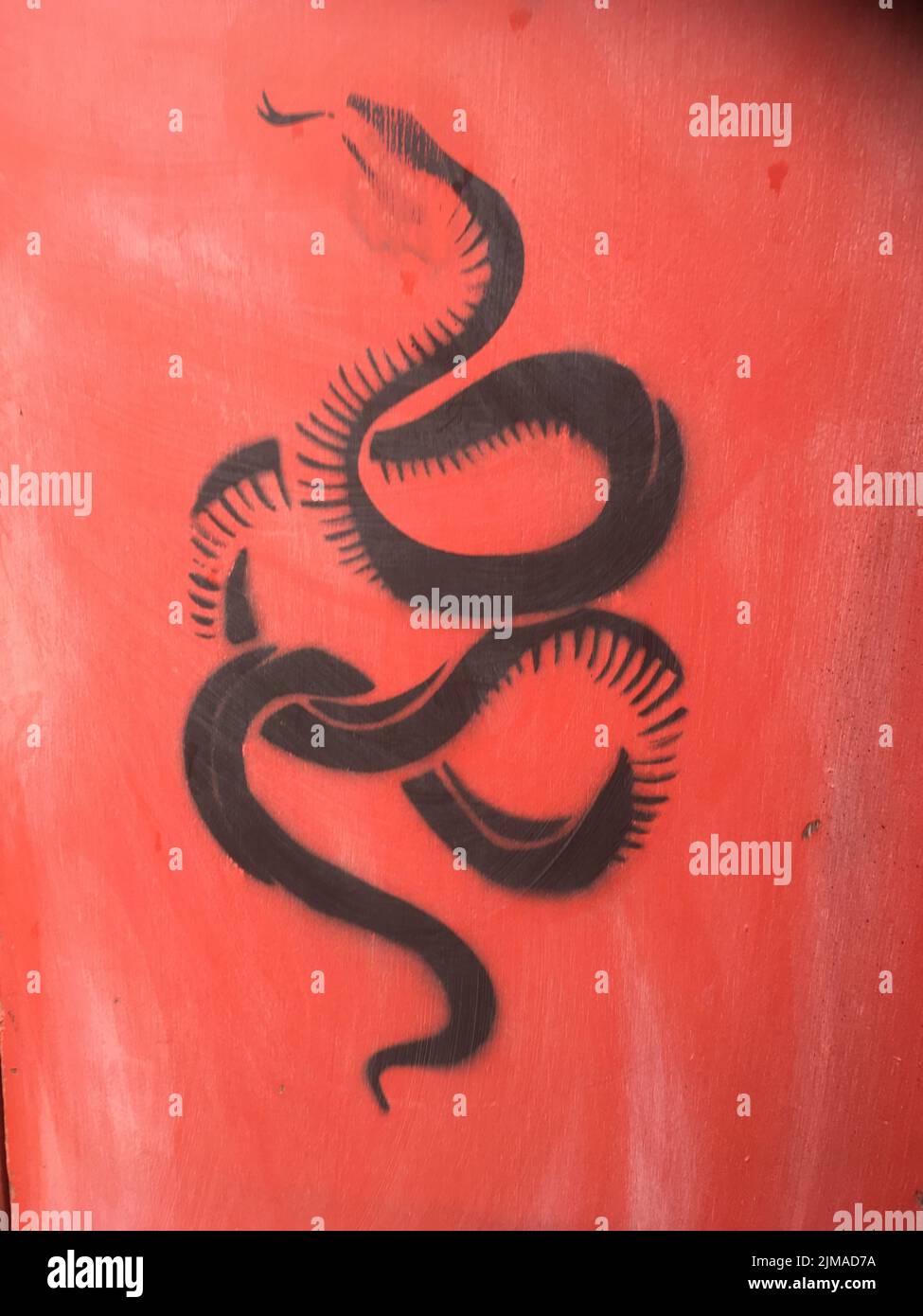 Snake on street hi-res stock photography and images - Alamy