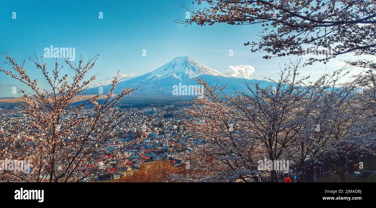 A scenic view of the Mount Fuji in Japan Stock Photo - Alamy