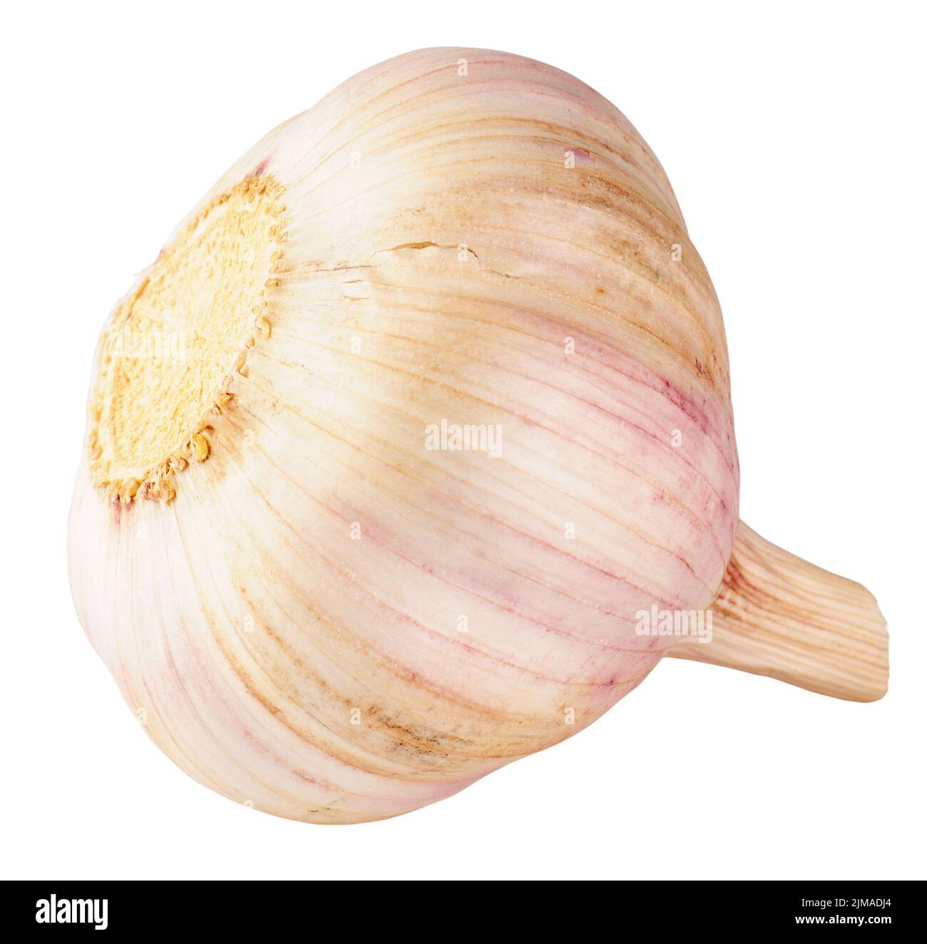 Garlic bulb isolated on the white background Stock Photo - Alamy