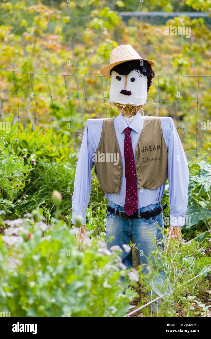 Scarecrow mannequin hi-res stock photography and images - Alamy