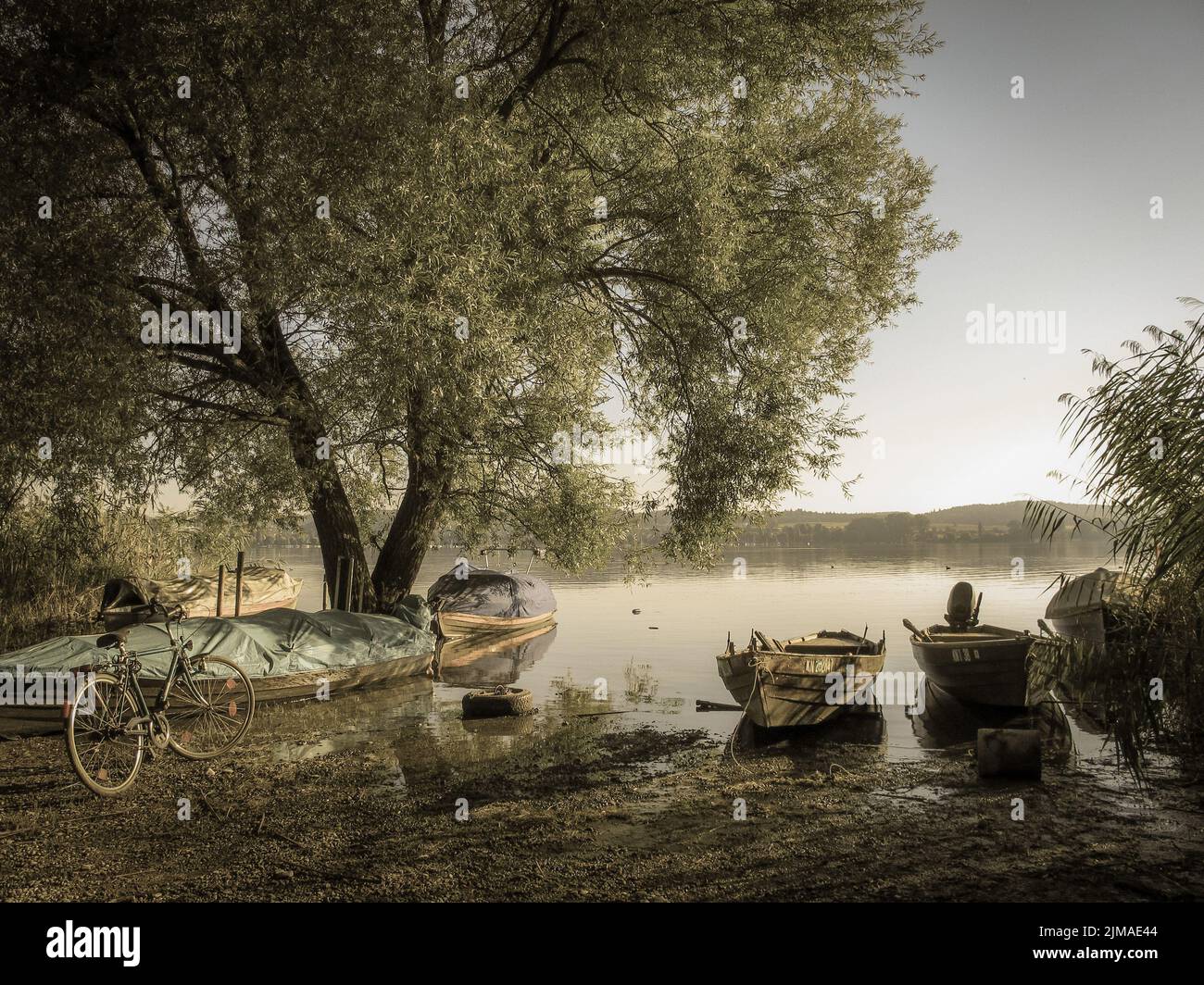 Fishing boats on the shore of the island of Reichenau - lake constance ...