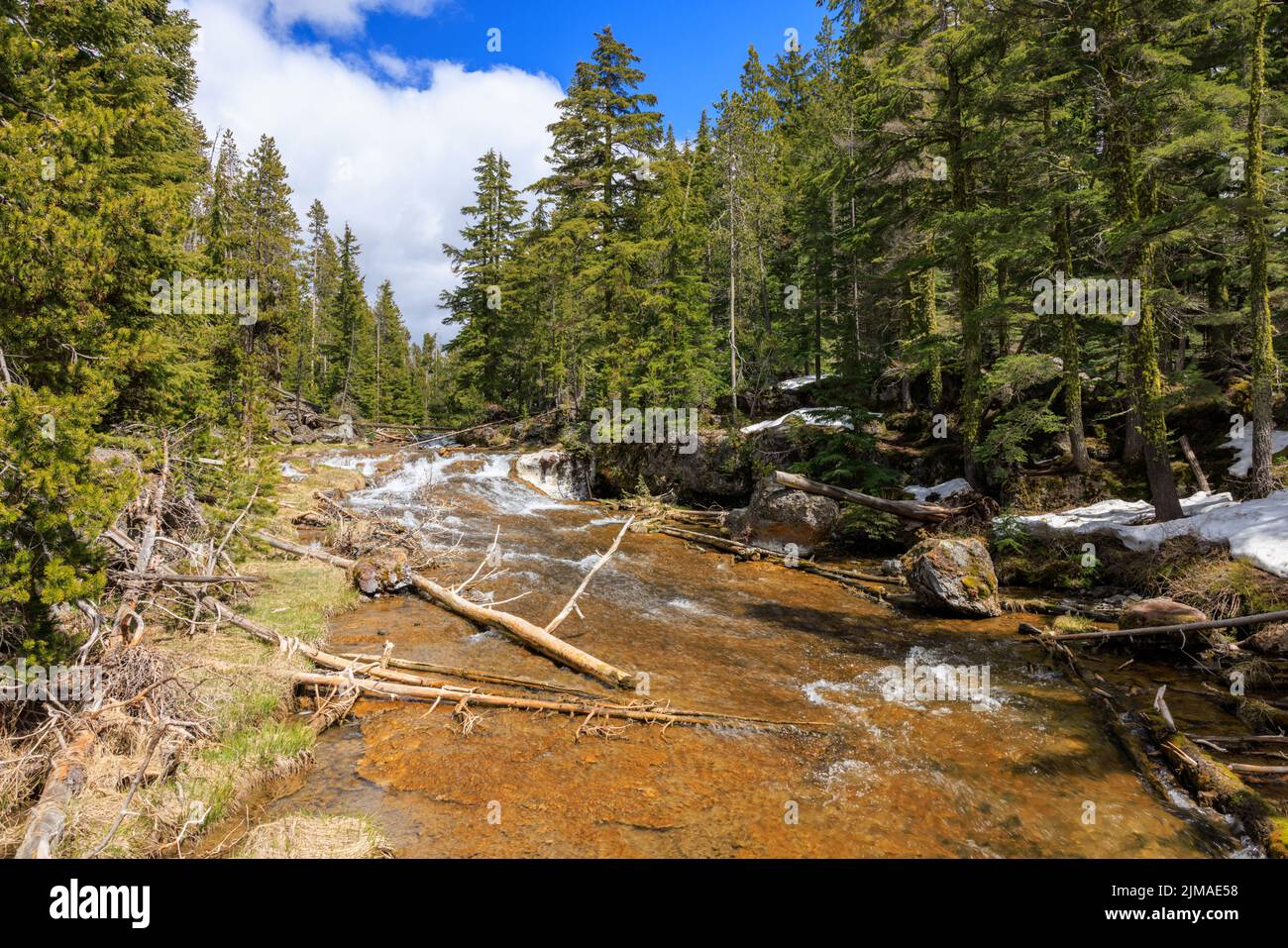 Paulina creek hi-res stock photography and images - Alamy
