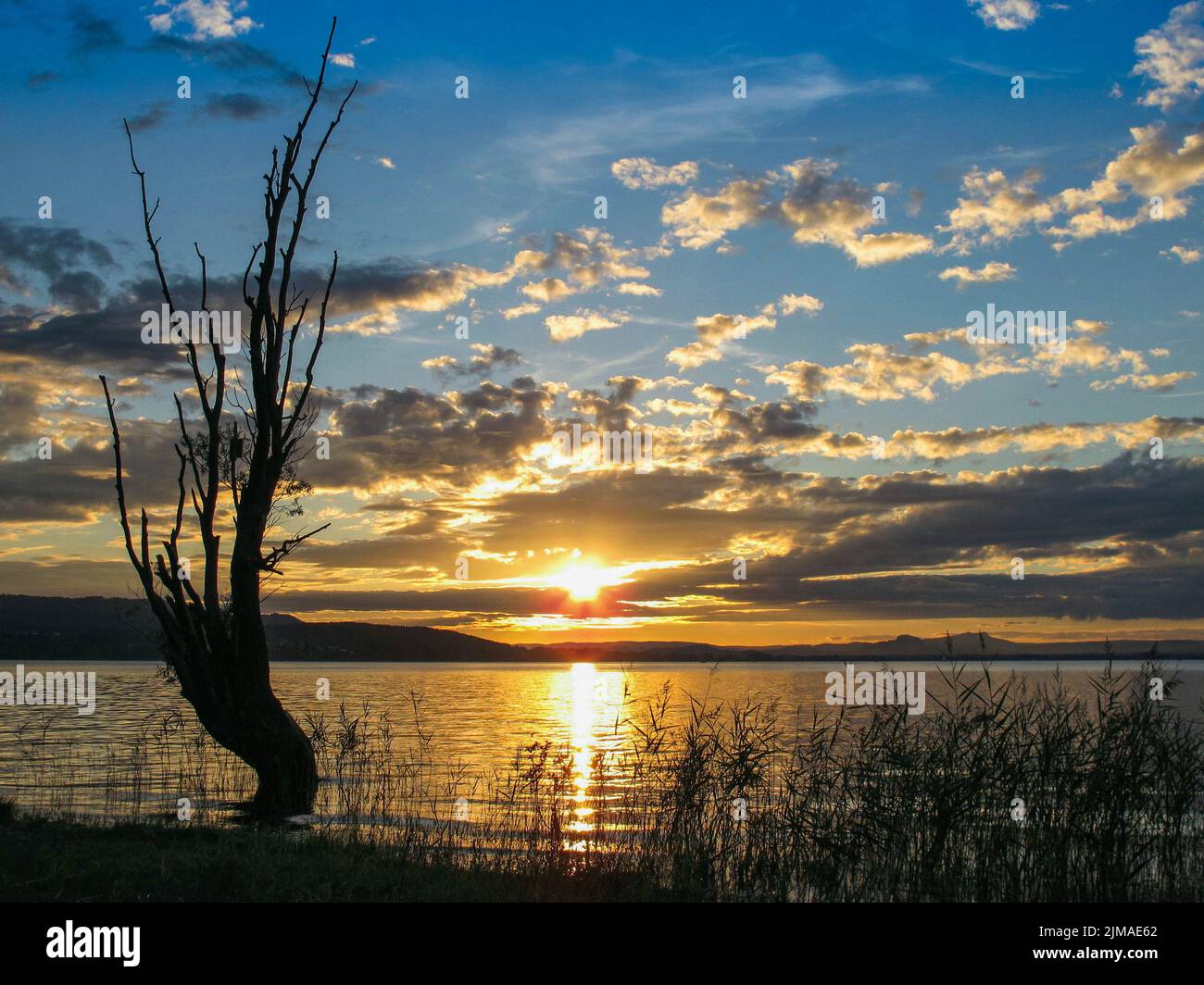 Sunset on the island of Reichenau - lake constance Stock Photo - Alamy