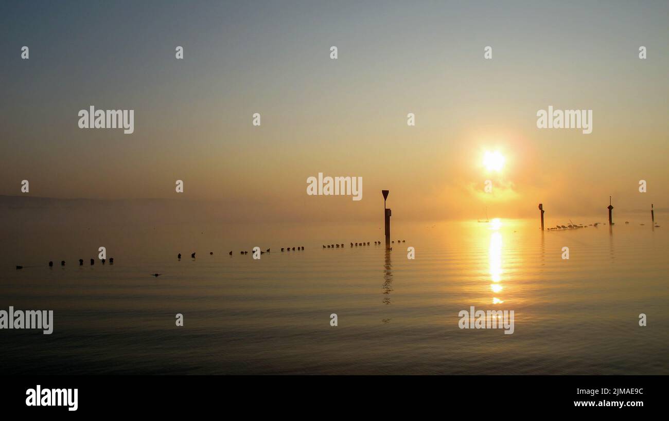 Lake constance at Moos on the peninsula HÃ¶ri Stock Photo - Alamy