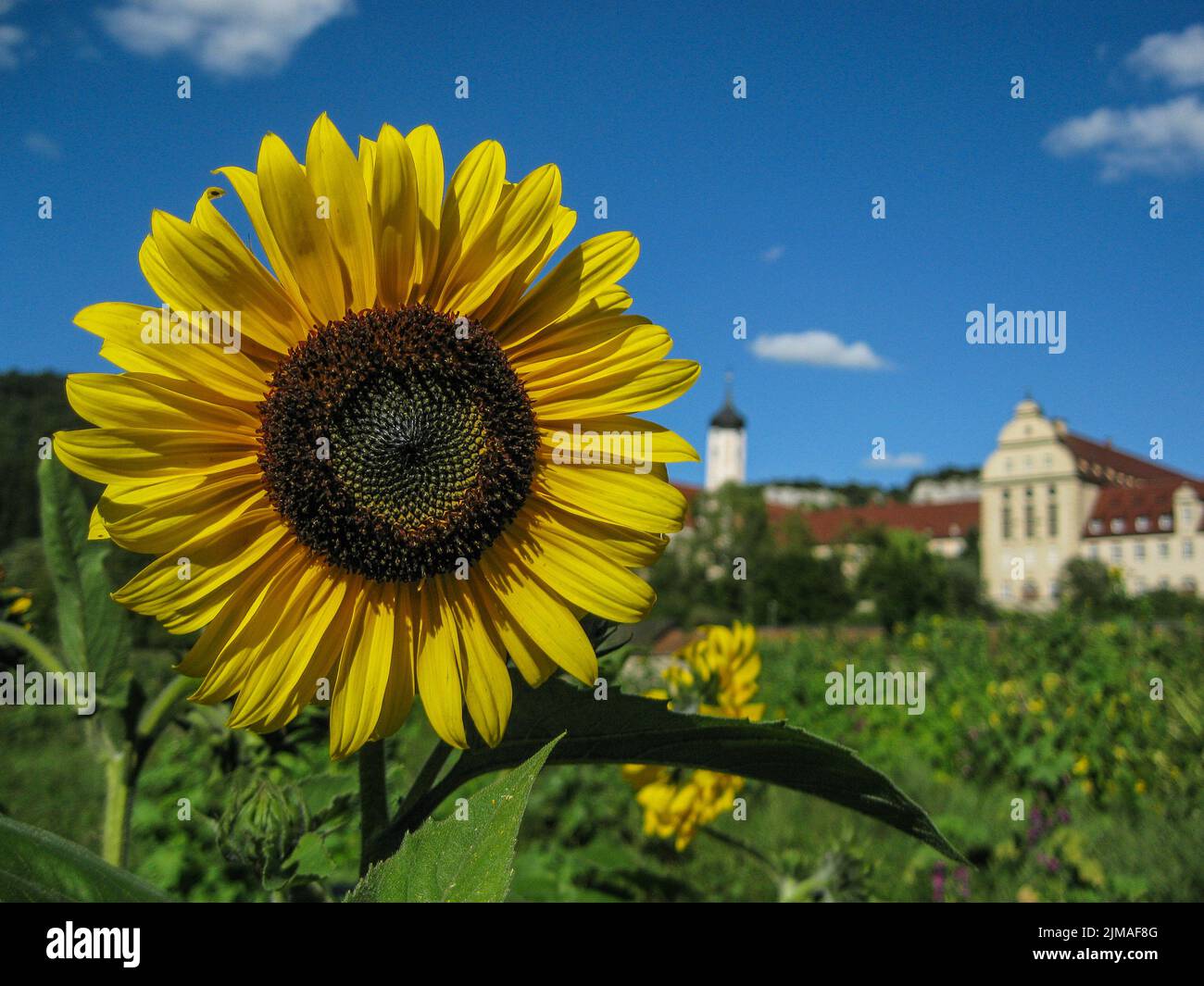 Benediktinerkloster beuron hi-res stock photography and images - Alamy