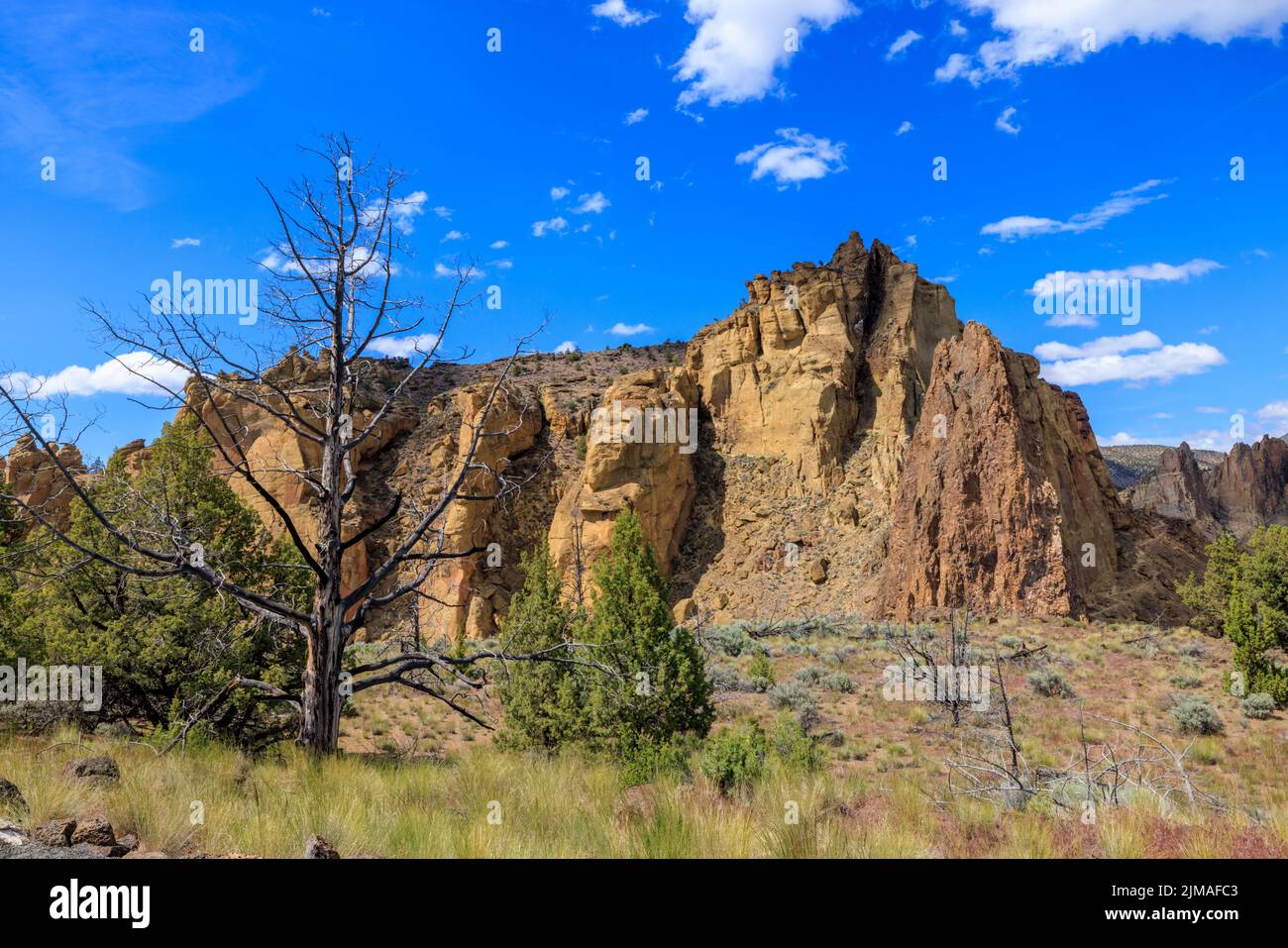 A stunning view of the Smith Rock State Park in Oregon, United States ...