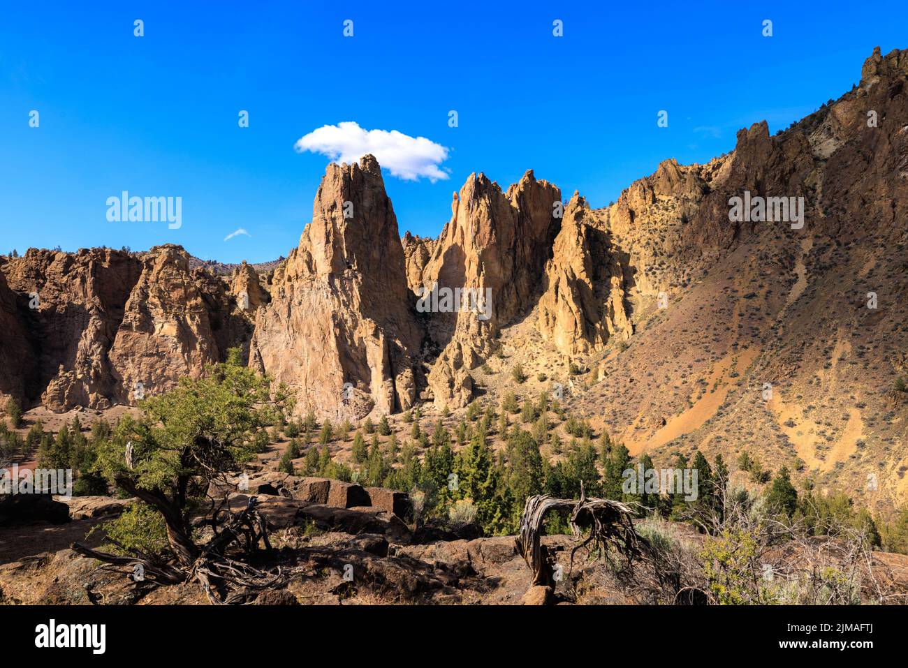 A stunning view of the Smith Rock State Park in Oregon, United States ...