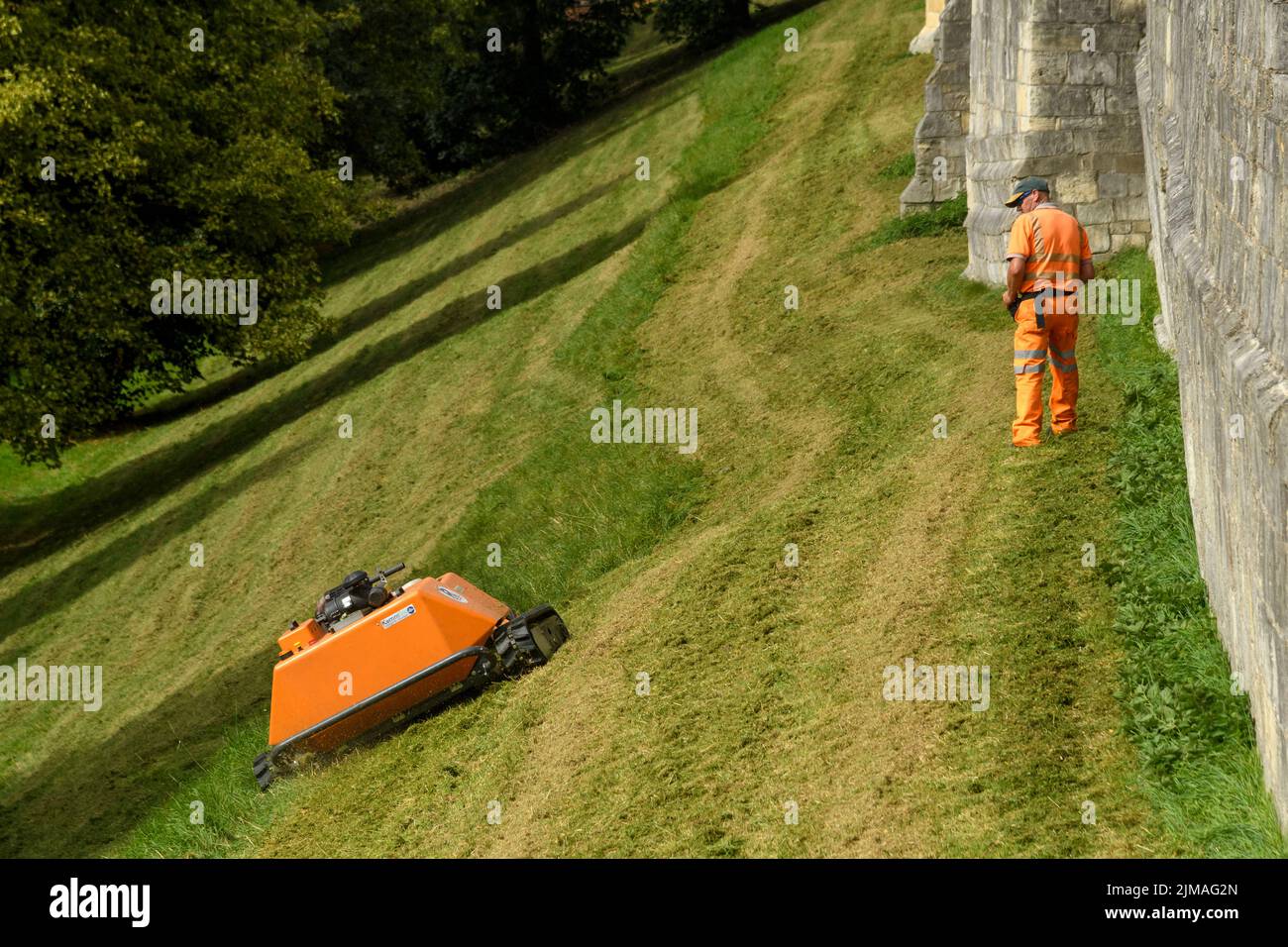 Grass slope mowed by remote-controlled orange robotic mower (KommTek ...