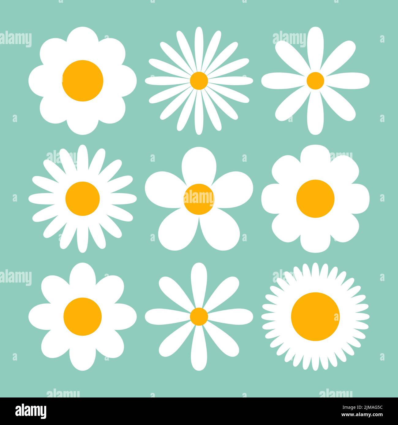 Daises white background Stock Vector Images - Alamy