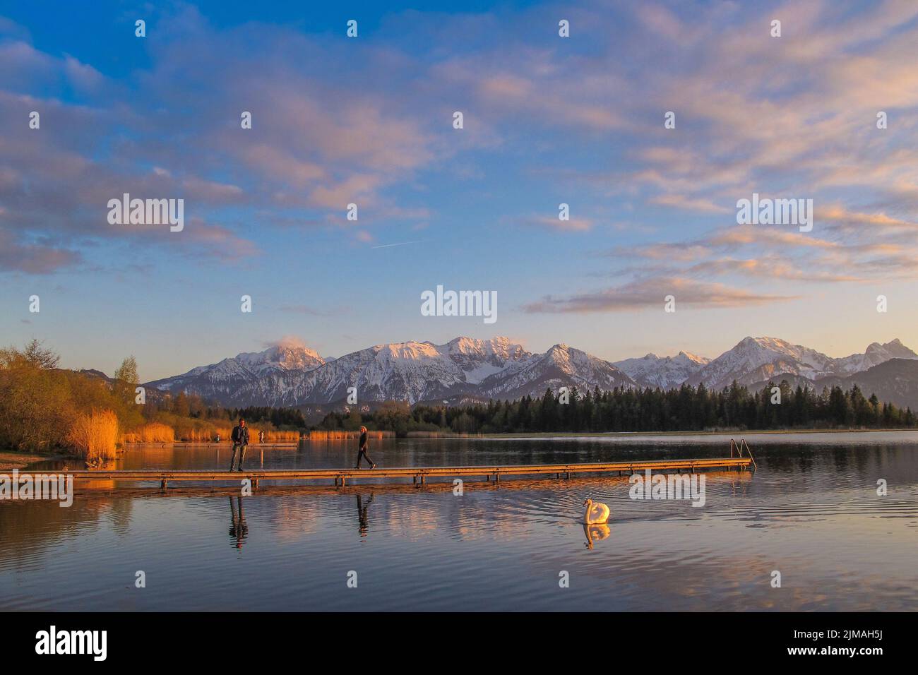 Landscape in Bavaria - Lake Hopfensee - AllgÃ¤u Stock Photo - Alamy