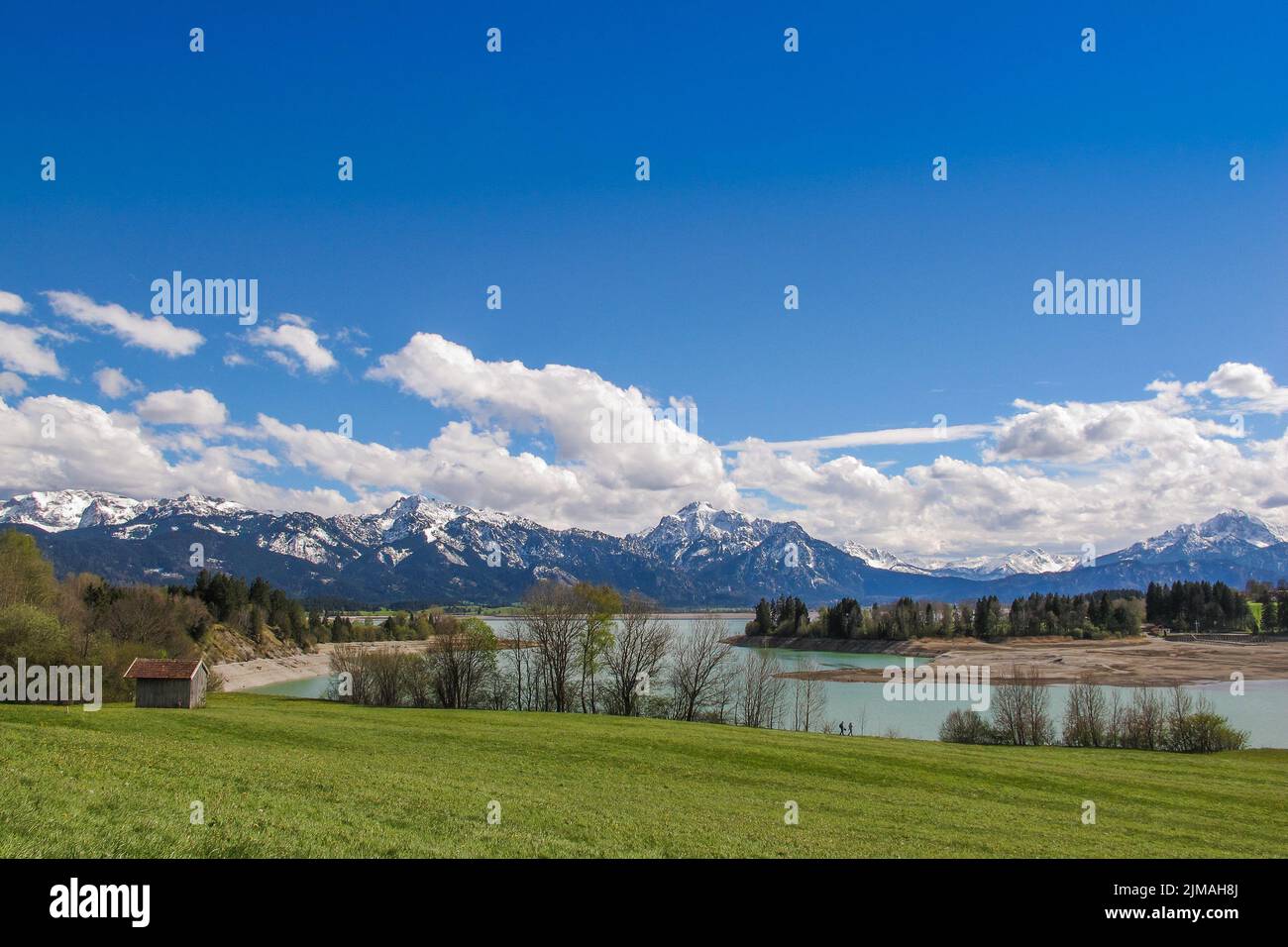 Landscape in Bavaria - Lake Forggensee - AllgÃ¤u Stock Photo - Alamy