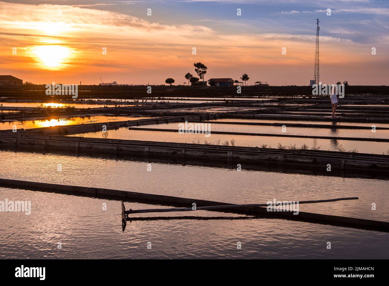 Extraction of sea salt in Aveiro, Portugal Stock Photo - Alamy