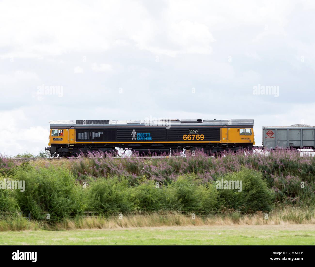GBRf class 66 diesel locomotive No.66769 in Prostate Cancer livery ...