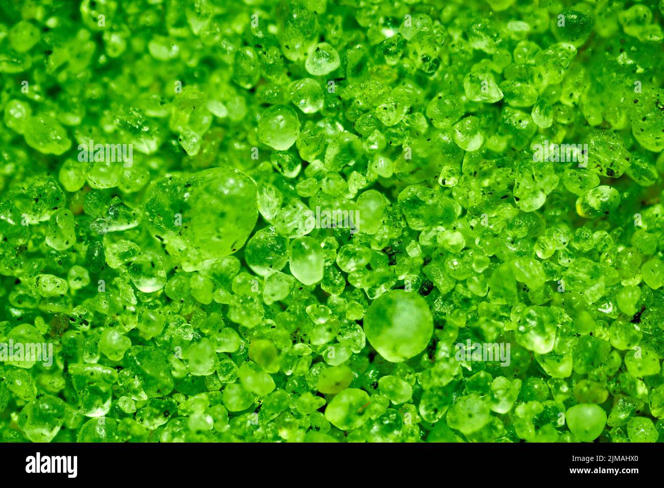 fine multi-colored river sand under a microscope Stock Photo - Alamy