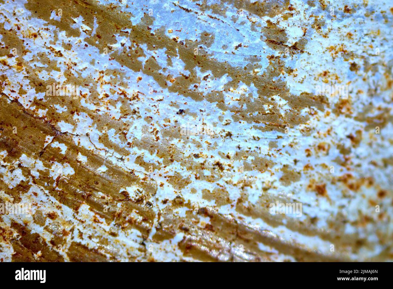 Shell surface hi-res stock photography and images - Alamy