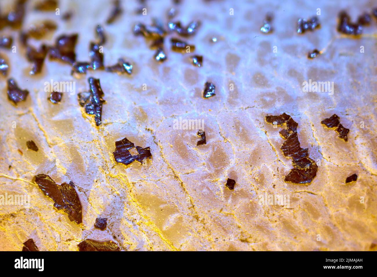 Antique decorative microscope hi-res stock photography and images - Alamy