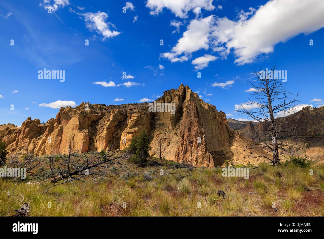 A stunning view of the Smith Rock State Park in Oregon, United States ...