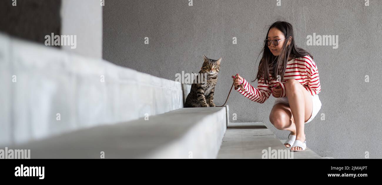 Woman walking with a cat on a leash outdoors in summer Stock Photo - Alamy