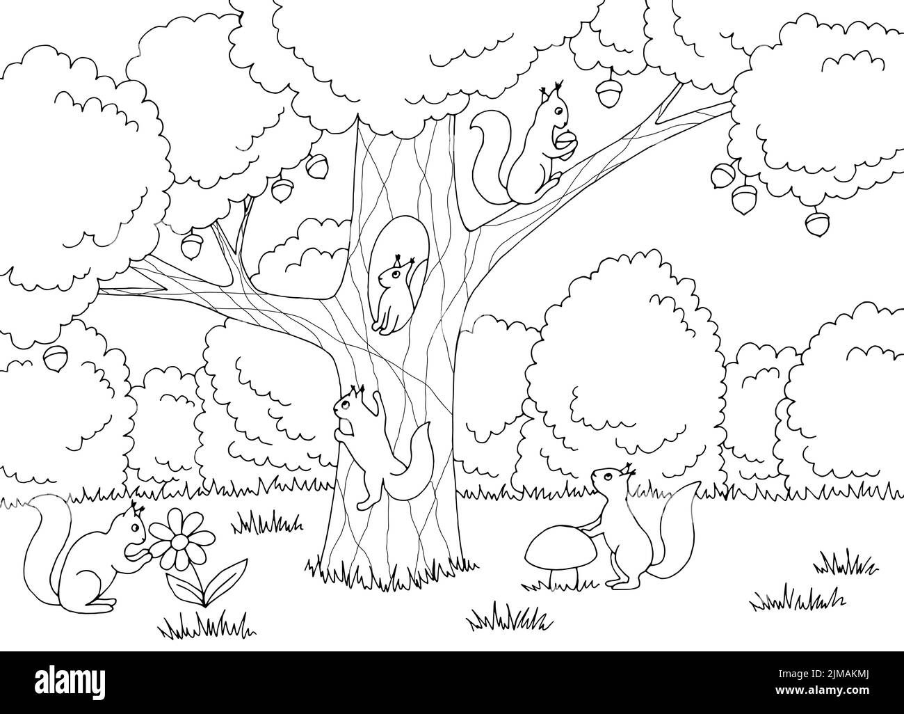 Squirrels on oak tree graphic black white sketch landscape illustration ...
