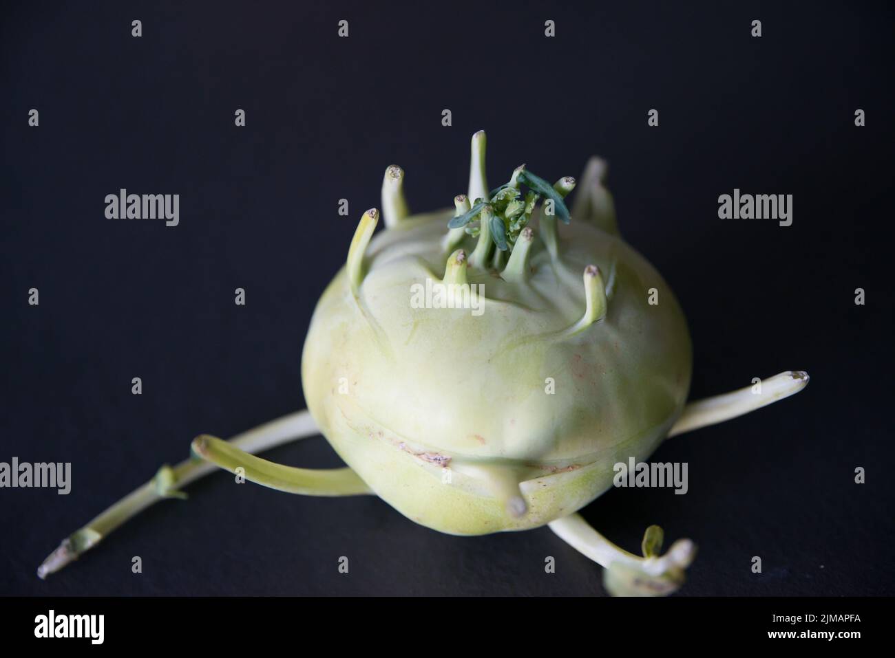 Kohlrabi or german turnip, a strange vegetable with black background ...