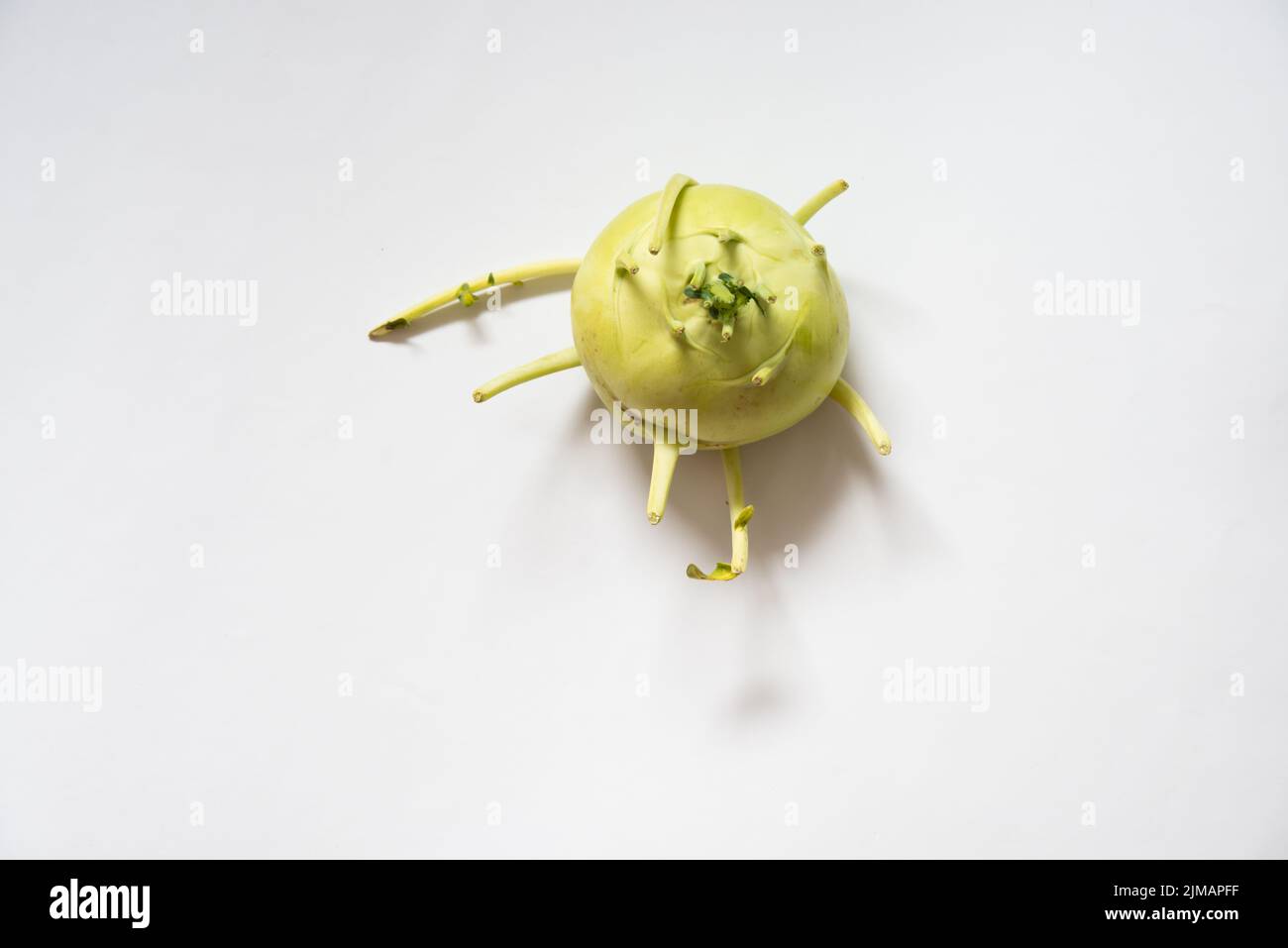Kohlrabi, also known as german turnip, seen from above. White ...
