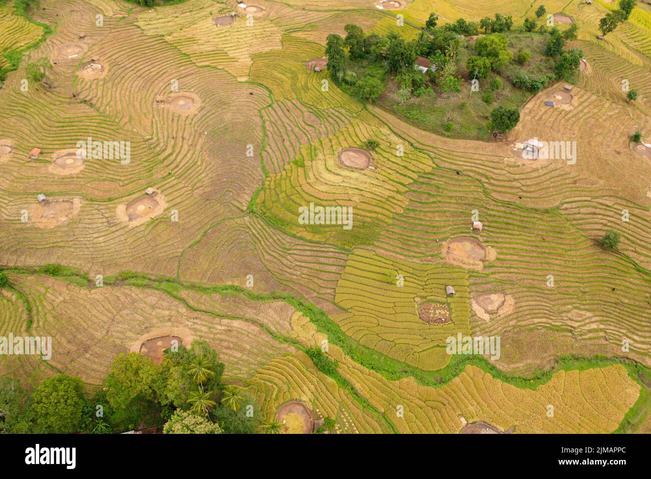 Rice terraces sri lanka hi-res stock photography and images - Alamy