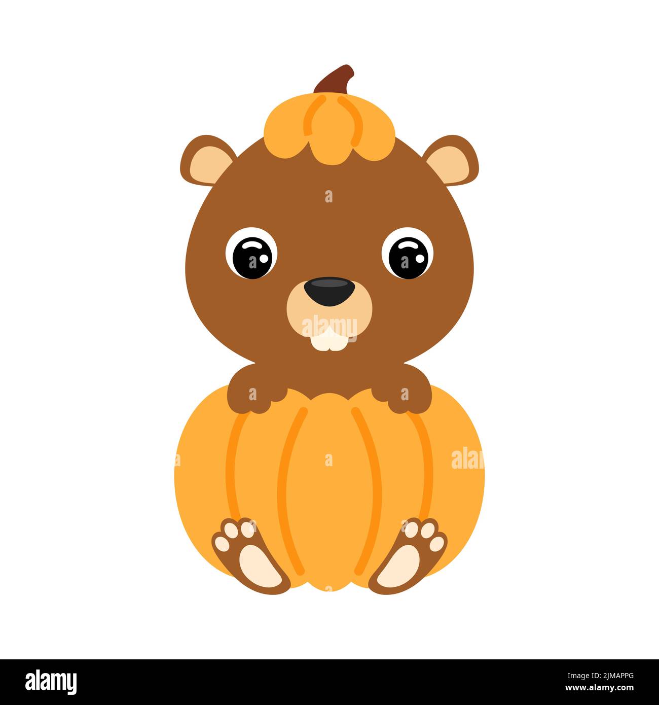 Cute little beaver sitting in a pumpkin. Cartoon animal character for ...