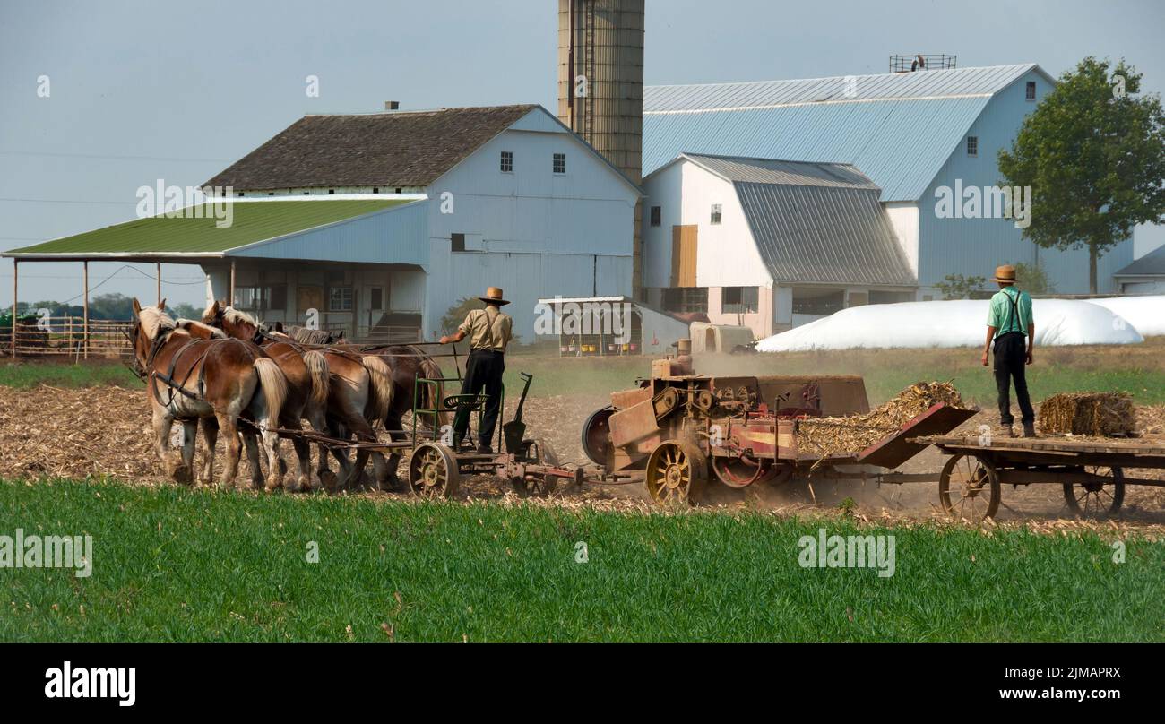 Amish farmers farm people hi-res stock photography and images - Alamy