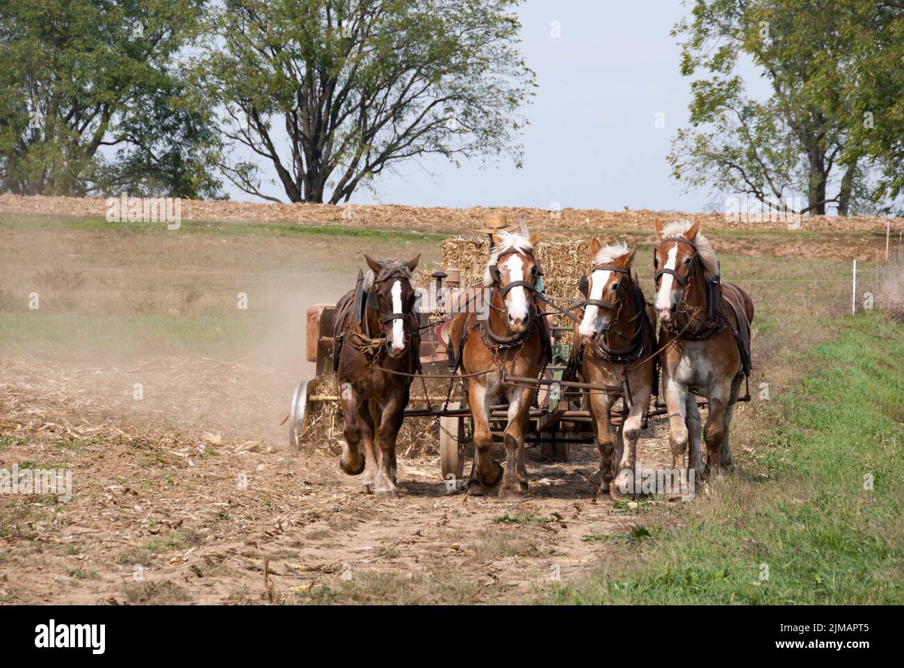 Amish man plowing field hi-res stock photography and images - Alamy
