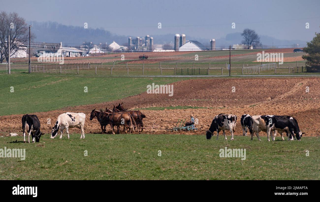 Amish farmer hi-res stock photography and images - Alamy