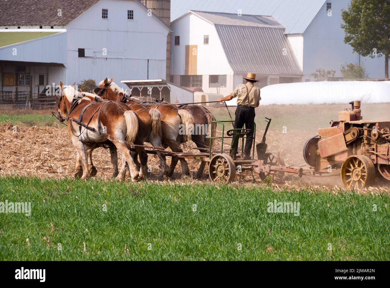 Amish man plowing field hi-res stock photography and images - Alamy