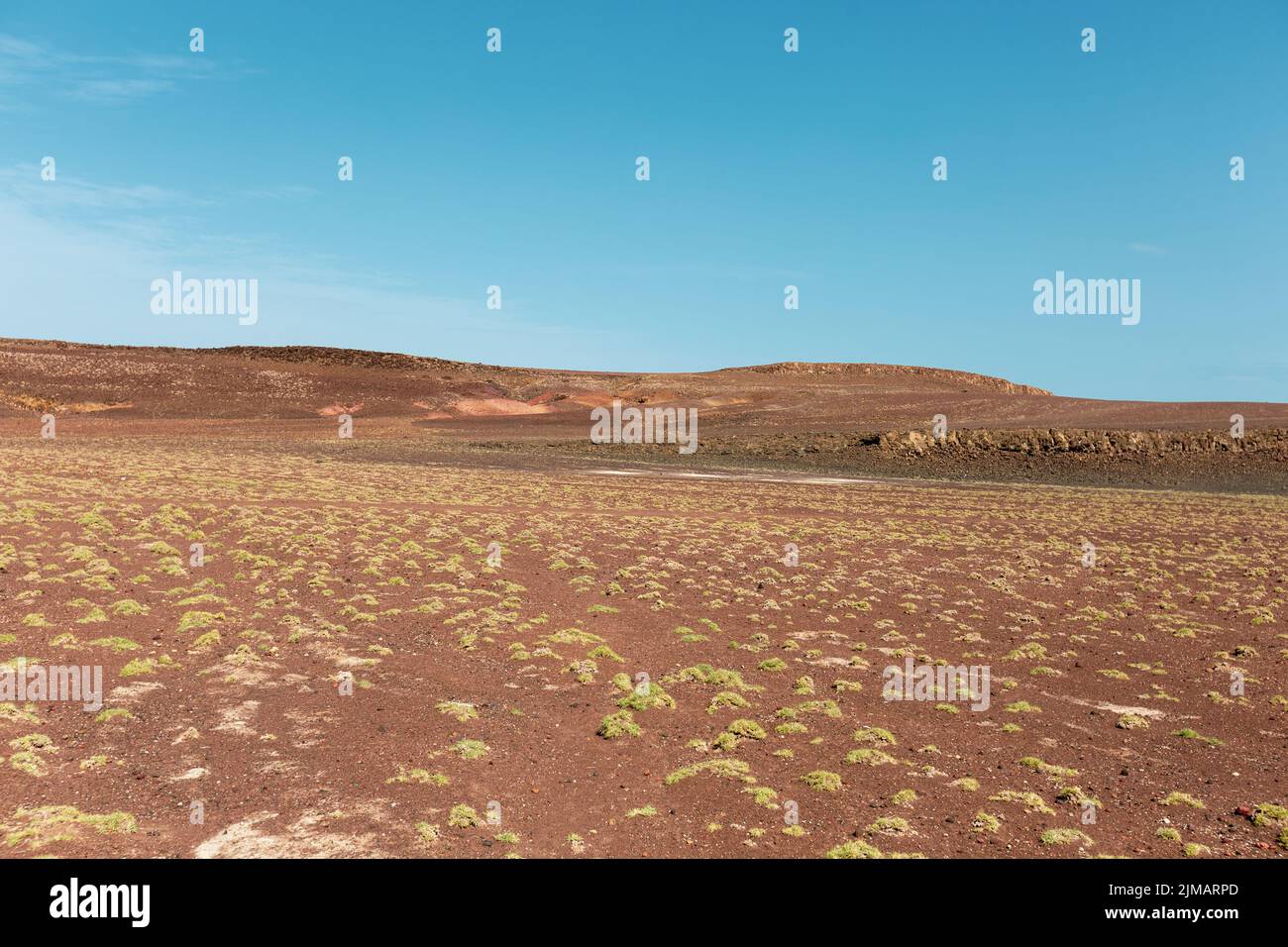 Chalbi hi-res stock photography and images - Alamy