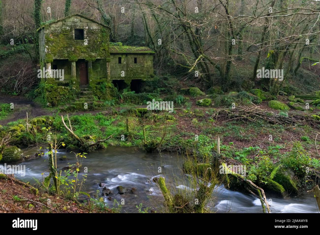 Old water mill house covered with moss in a forest with dense ...