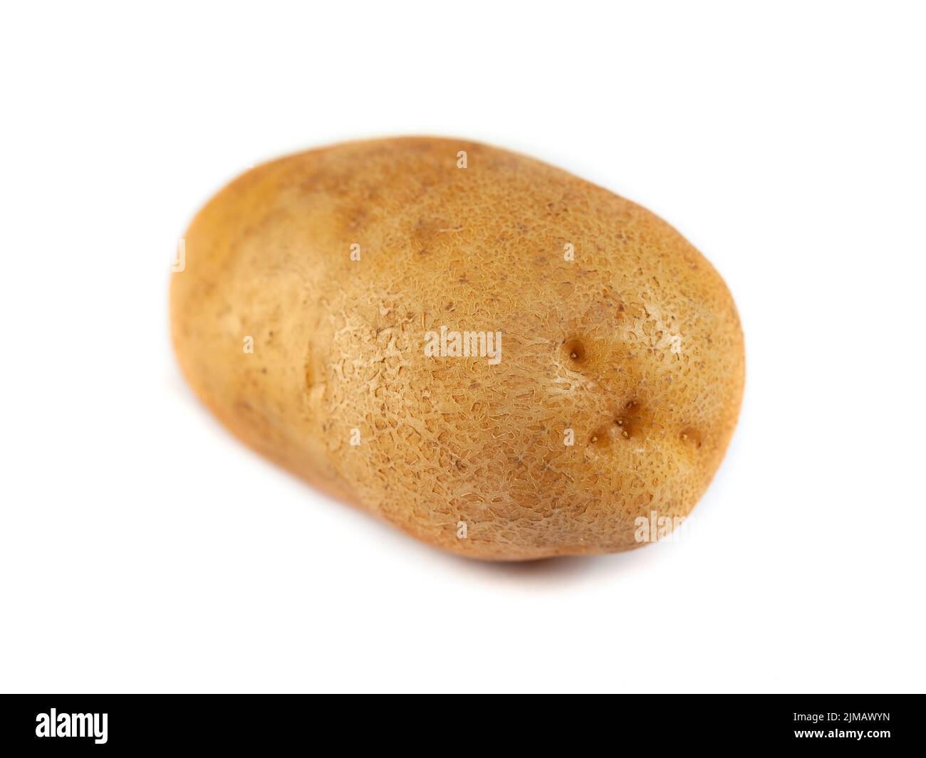 one potato isolated on white background. whole vegetable, root ...