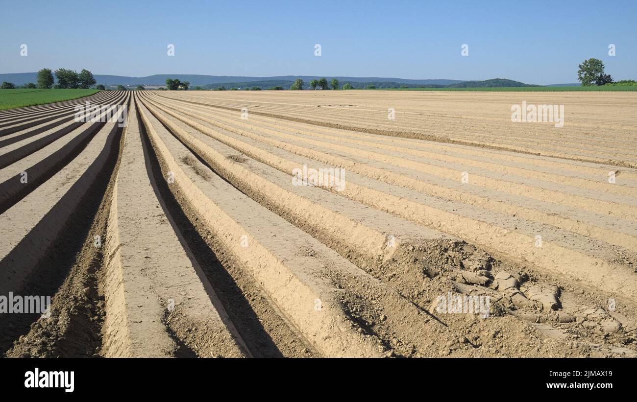 Agriculture, 'furrow cultivation', Germany Stock Photo - Alamy