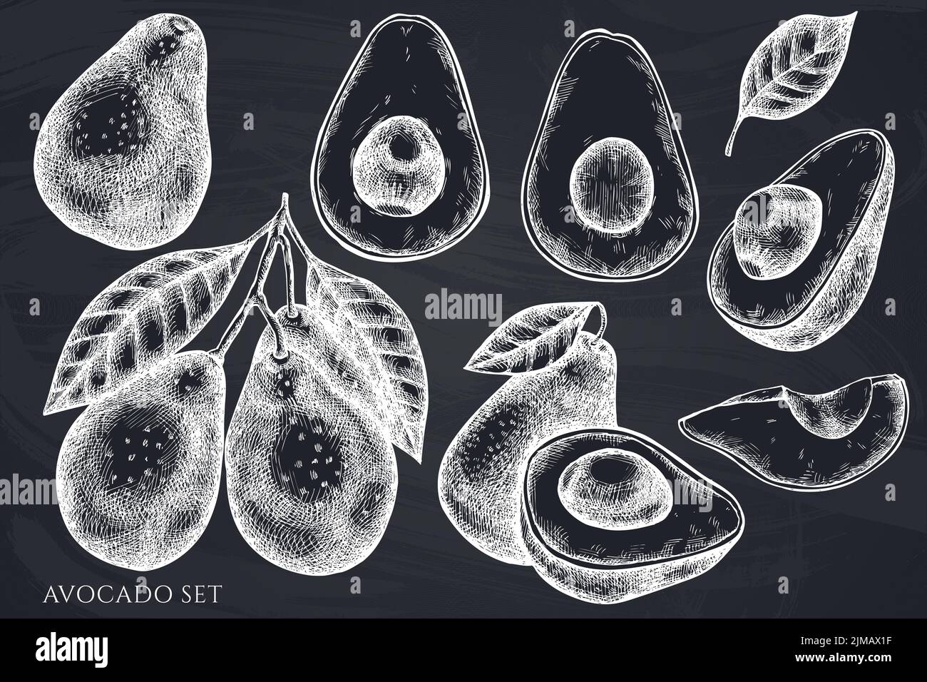 Fruits hand drawn vector illustrations collection. Chalk avocado Stock ...