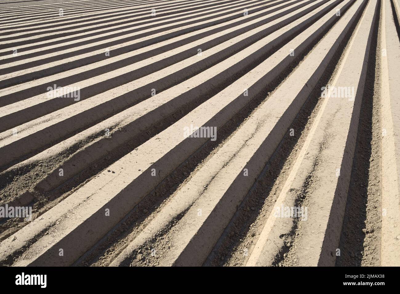 Agriculture, 'furrow cultivation', Germany Stock Photo - Alamy