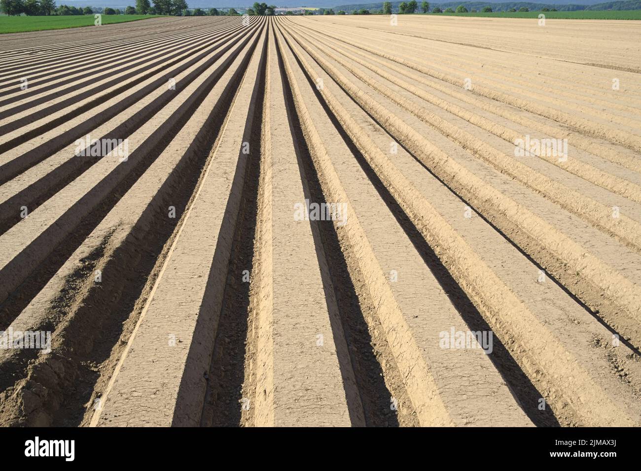 Agriculture, 'furrow cultivation', Germany Stock Photo - Alamy