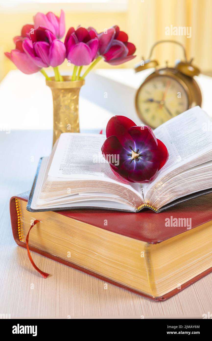 Holy Bible and old gold alarm clock on wood table Stock Photo - Alamy