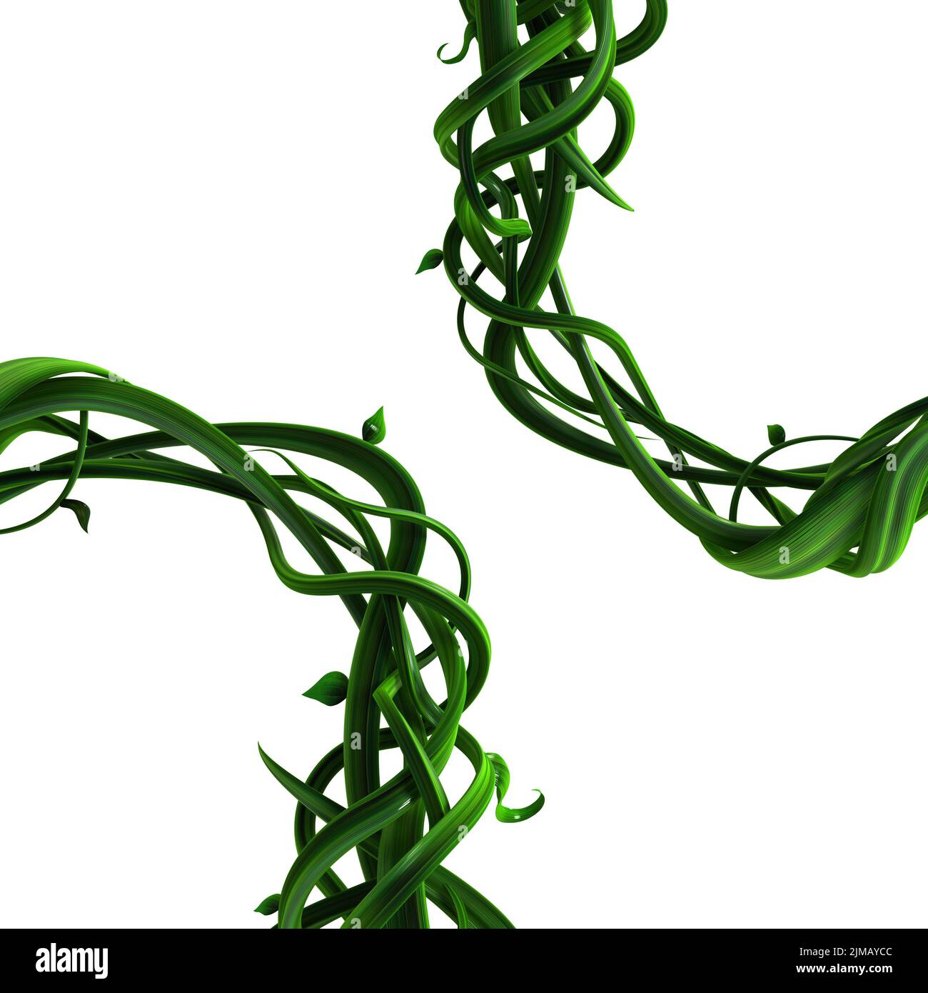 Plant vines green growing twisting thick corner loop, 3d illustration ...