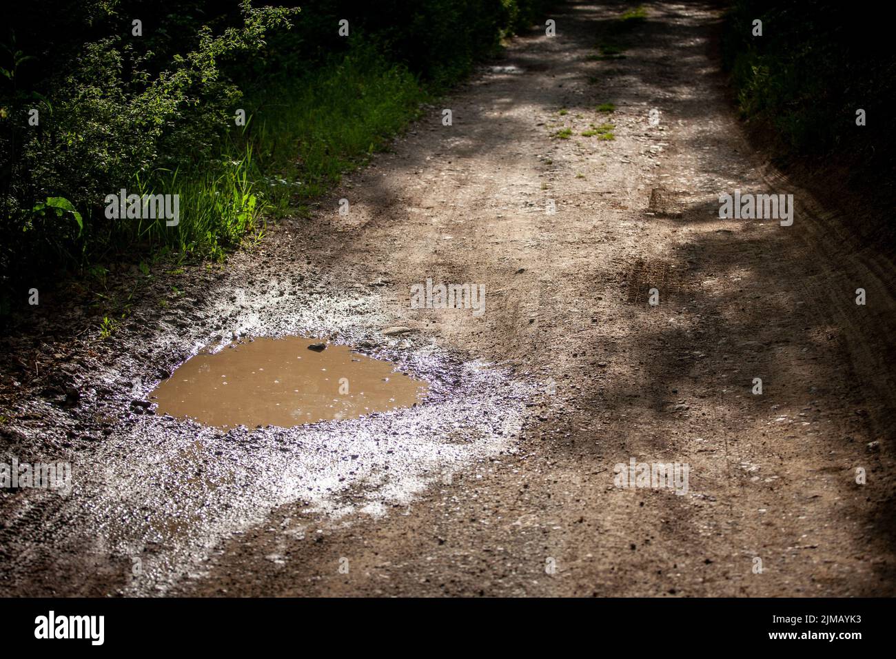 Picture of a muddy dirtpath in Europe with a focus on a water puddle ...
