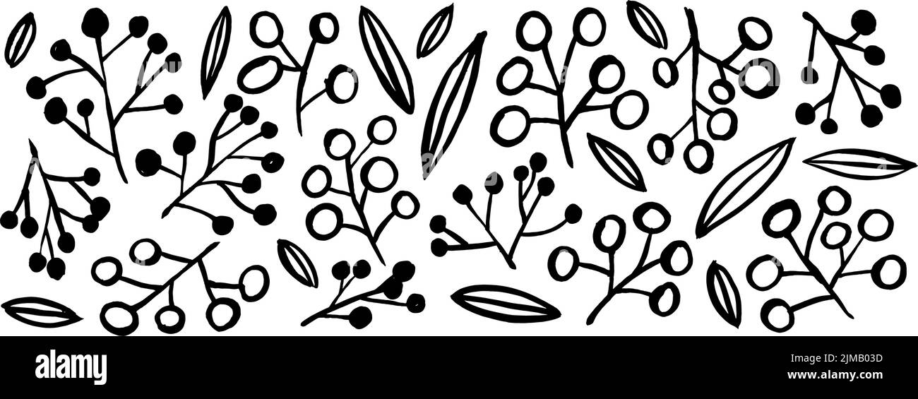 Black winter berries Stock Vector Images - Alamy