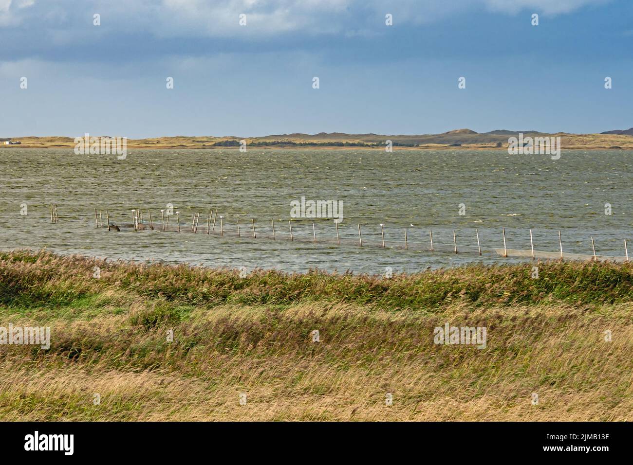 Landscape at shallow water lake Flade Sø in Thy National Park in ...