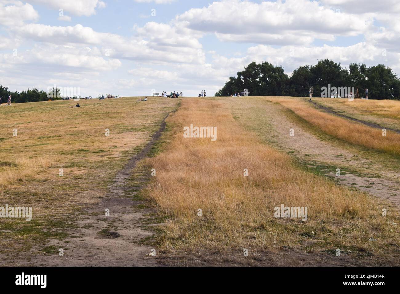 London, England, UK. 5th Aug, 2022. Dry grass dominates the parched ...