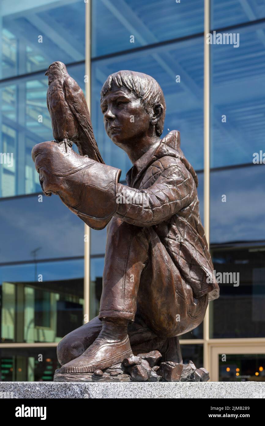 Statue of Billy with Kes by Graham Ibbeson from a novel about a boy and ...