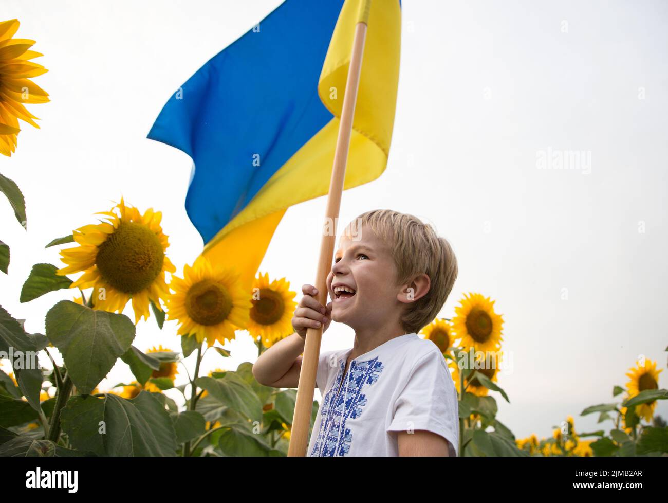 happy laughing boy in national embroidered T-shirt with yellow-blue ...