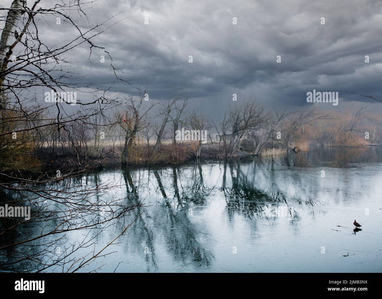 The trees and a lake with their reflections under the cloudy sky Stock ...