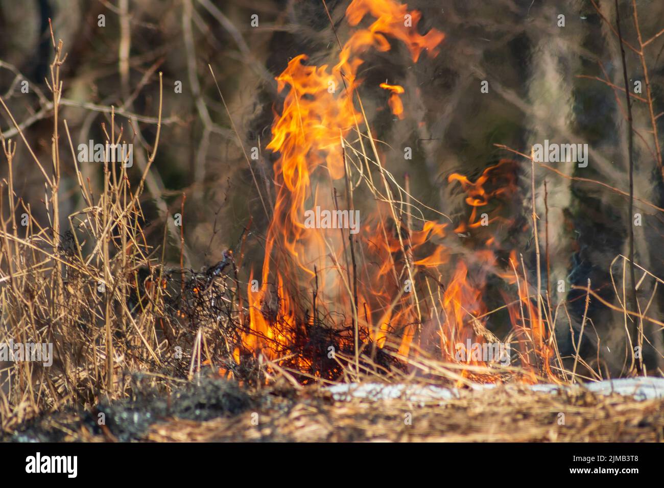 Spreading fire in dry grass hi-res stock photography and images - Alamy