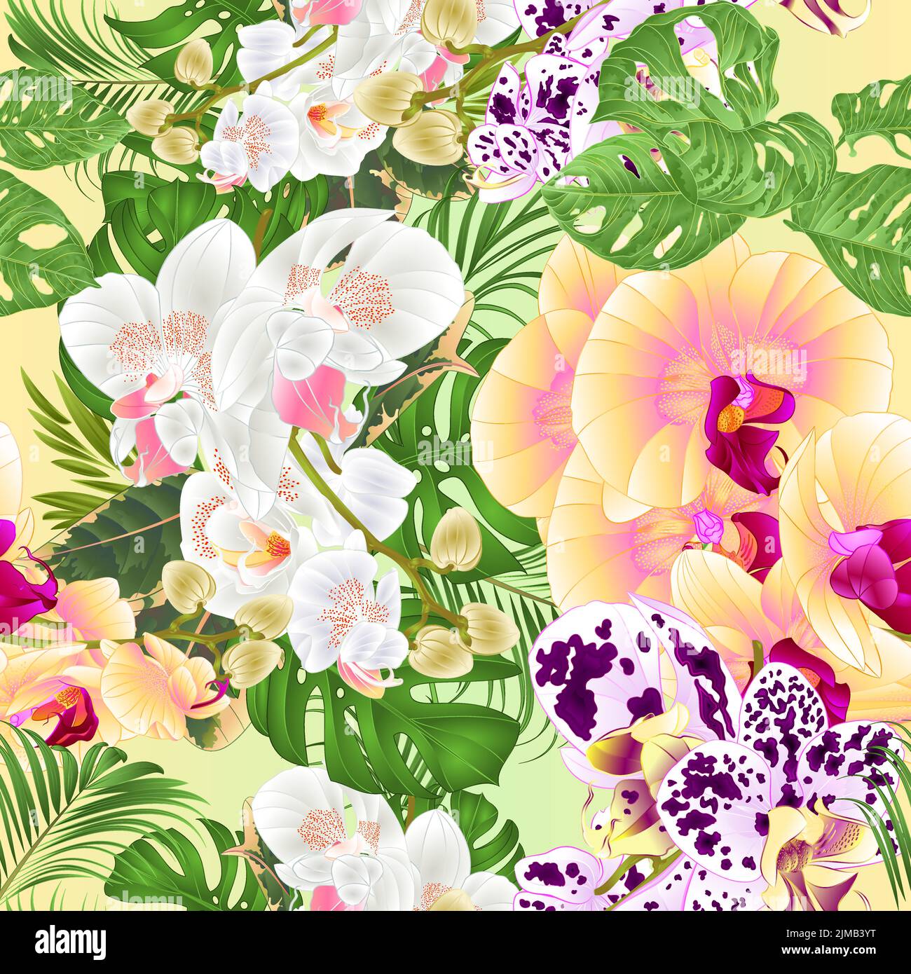 Seamless Texture Bouquet With Tropical Flowers Floral Arrangement With