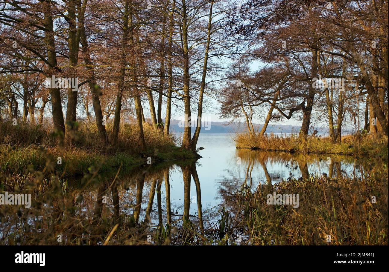 A beautiful view of trees reflected in the water Stock Photo - Alamy